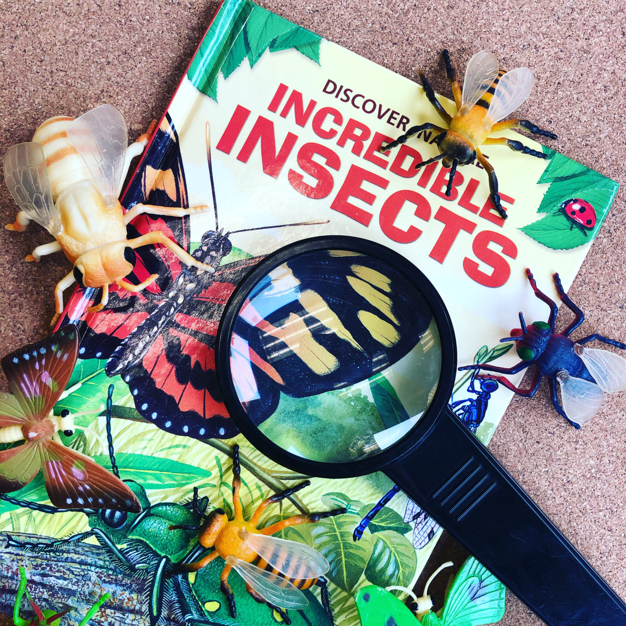 Ms. Bee Teaches – Kindergarten Teaching Made easy